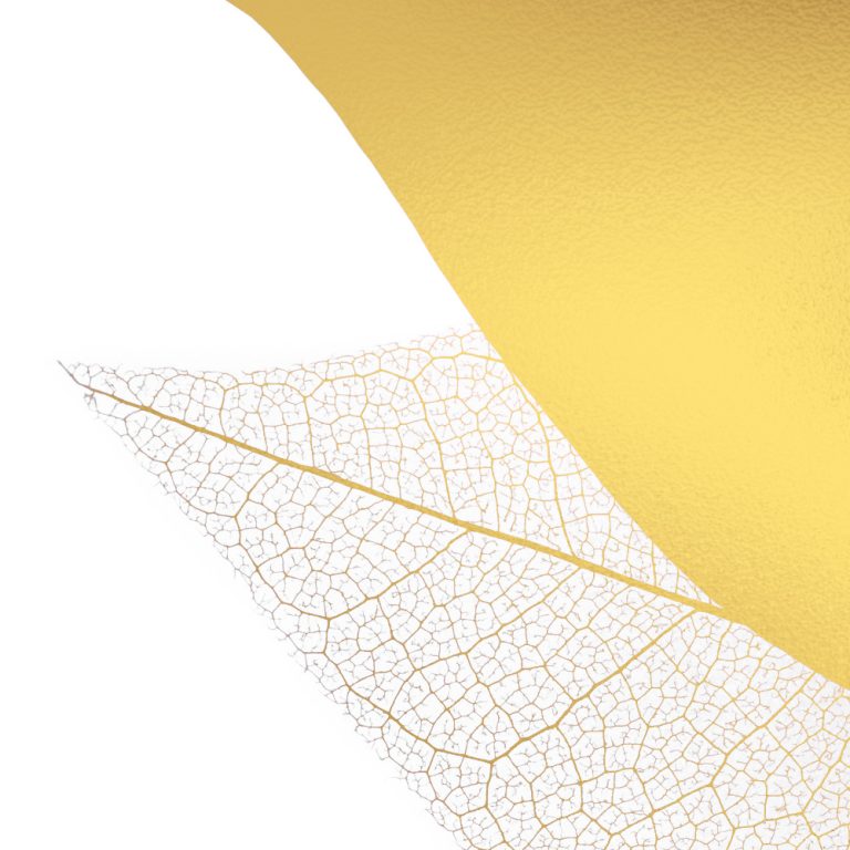 Cosmetic packaging manufacturer | Hobag Corporate